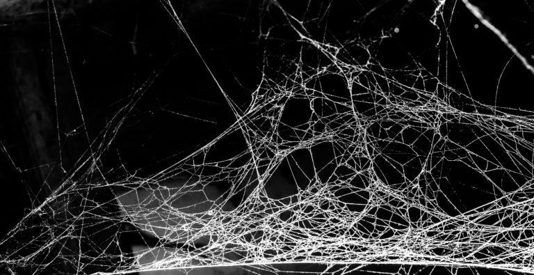 You can make special effect spider webs with Tecbond glue ! - Glue ...